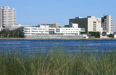 Ricardo Hanel, de Araruna para o "top" mundial da neurocirurgia - Mural ...