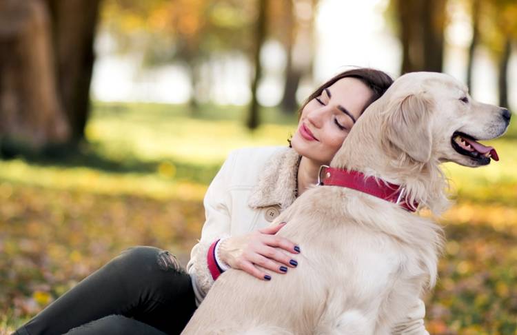 POR AMOR AOS PETS, SIMONE QUER FALTAS JUSTIFICADAS - Mural do Paraná
