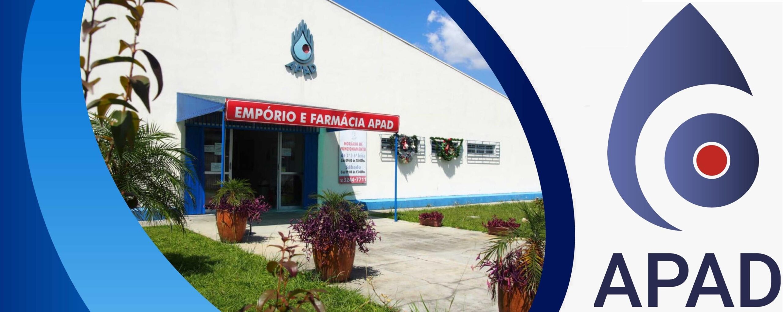 APAD está vivendo sob mistérios, perseguições e terceirização de ...